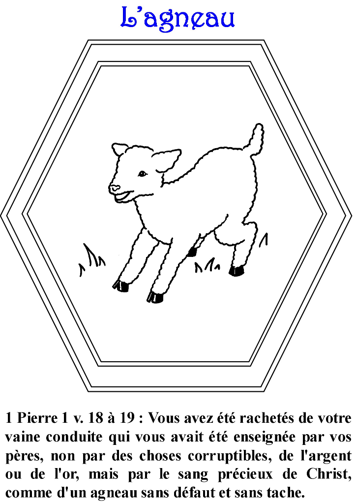 coloriages animaux de la bible