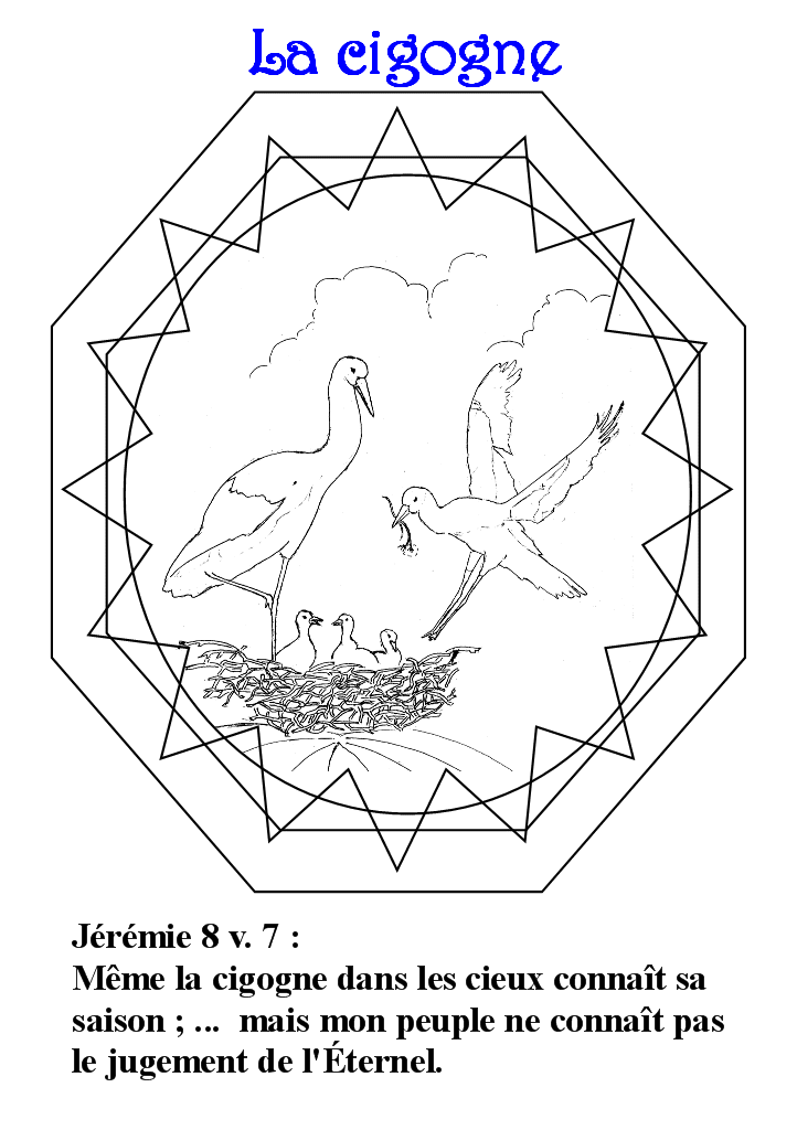 coloriages animaux de la bible