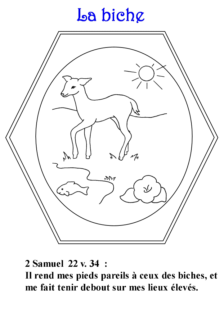 coloriages animaux de la bible