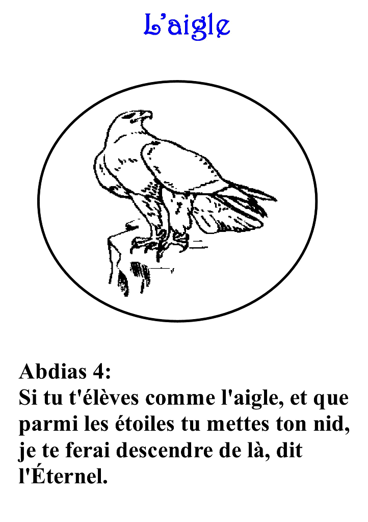 coloriages animaux de la bible