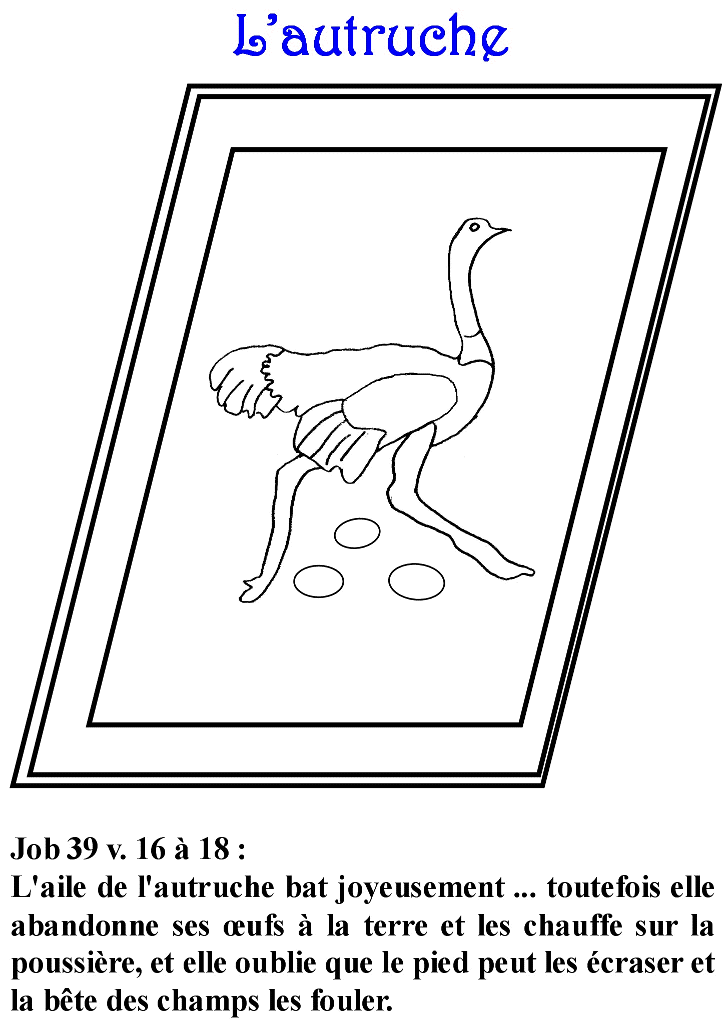 coloriages animaux de la bible